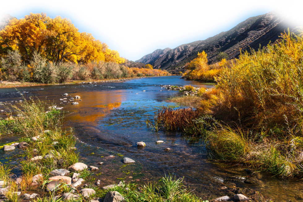 Departments - City of Lovington